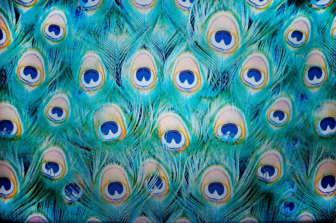 Animal Kit – Kansas Hydrographics