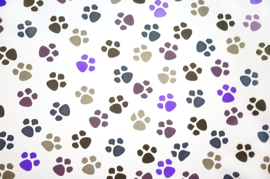 Puppy Paws – Kansas Hydrographics