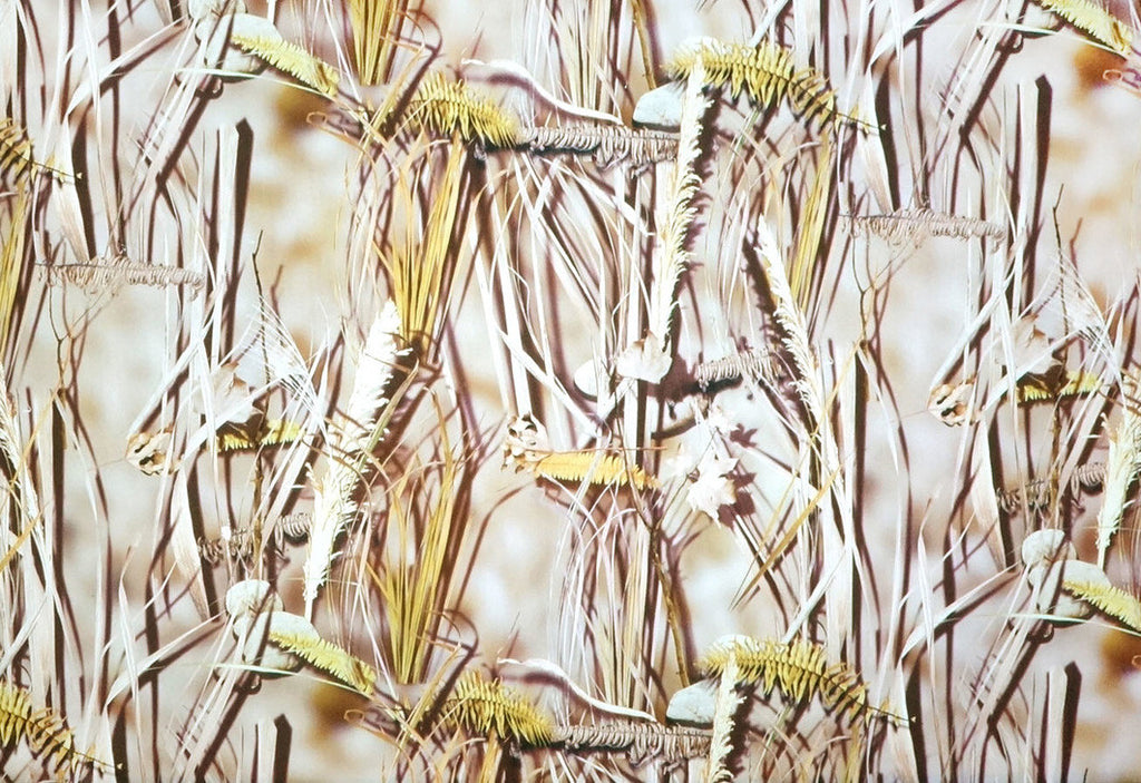 Reeds – Kansas Hydrographics