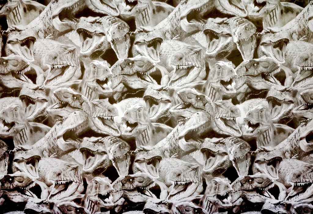 T-Rex – Kansas Hydrographics