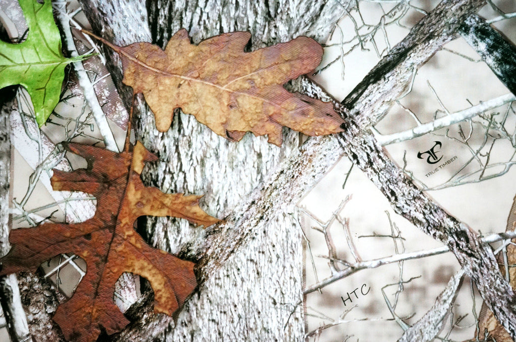 True Timber HTC Fall – Kansas Hydrographics