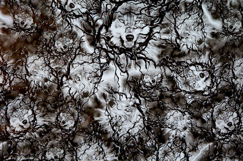 Timberwolf – Kansas Hydrographics